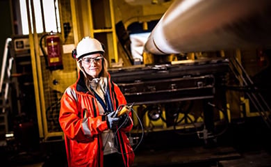 What comprises a successful Risk Based Inspection (RBI) programme ...